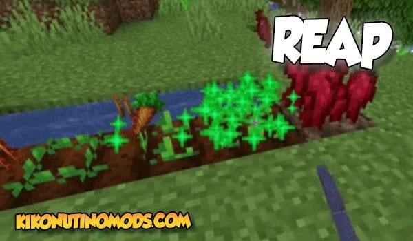 Reap Mod para Minecraft 1.16.5 y 1.12.2 |【Descargar】