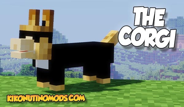 Corgi Mod para MINECRAFT 1.16.5 | 【Descargar】