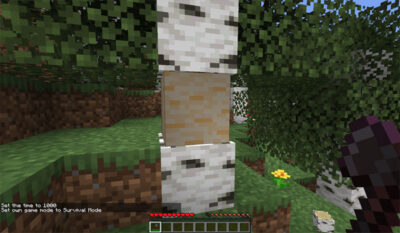 Tree Chop Mod para Minecraft 1.16.5 - Talar arboles mejor!