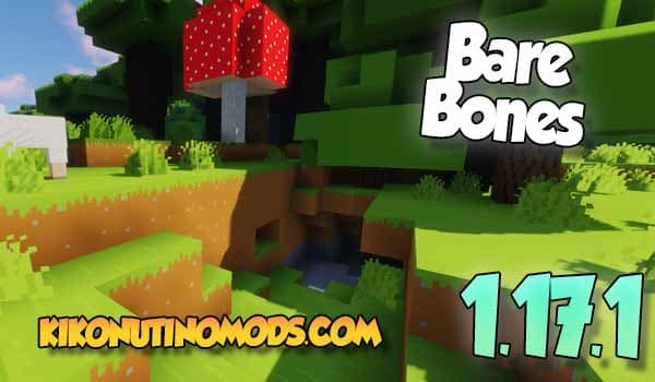 Bare Bones Texture Pack para Minecraft 1.17.1【Descargar Sin Esperas】