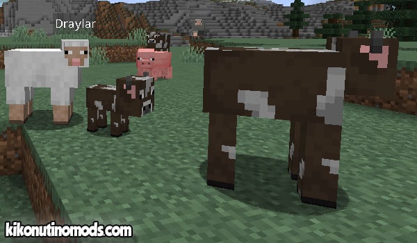 Identity Mod para Minecraft 1.18.1 -【Descargar】