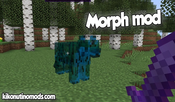 Budschie's Morph Mod para Minecraft 1.18.2 y 1.18.1 -【Descargar】